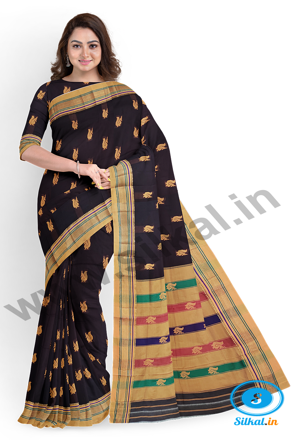 ILKAL MAYURI COTTON SAREE WITH CHIKKI BORDER – Silkal.in