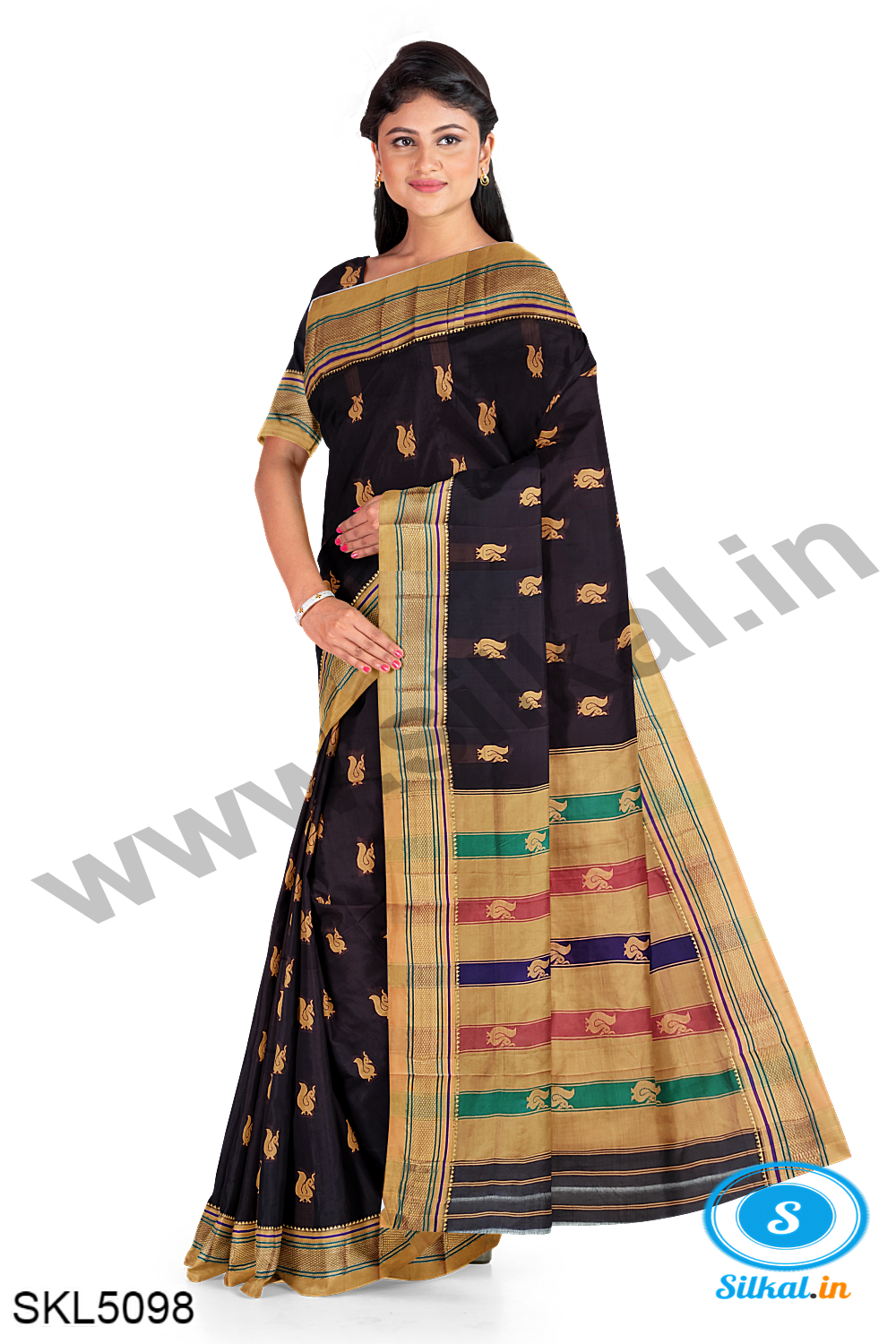ILKAL MAYURI COTTON SAREE WITH CHIKKI BORDER – Silkal.in