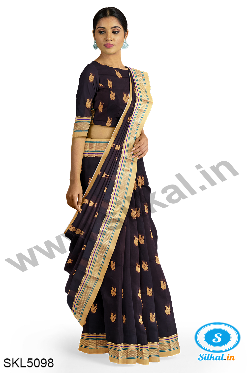 ILKAL MAYURI COTTON SAREE WITH CHIKKI BORDER – Silkal.in